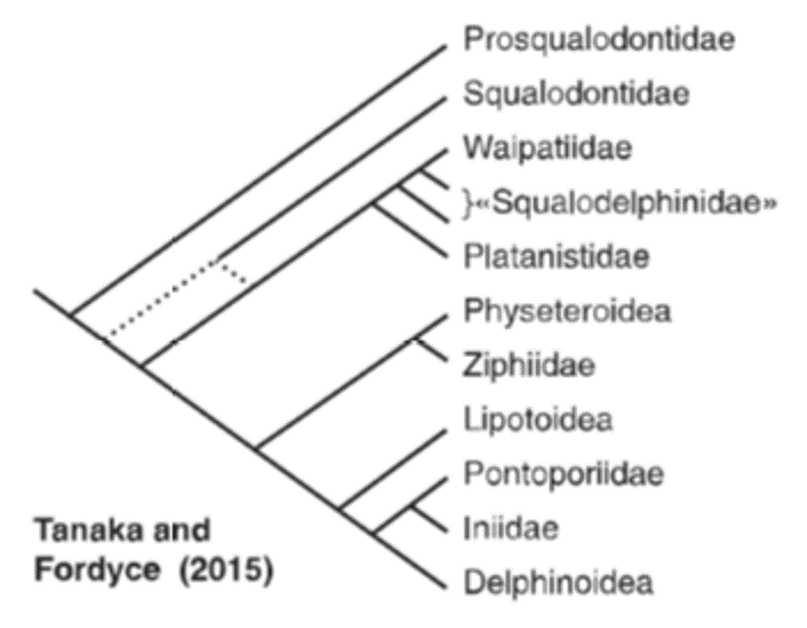 Becoming Inia and Dolphin – Anthrop 365